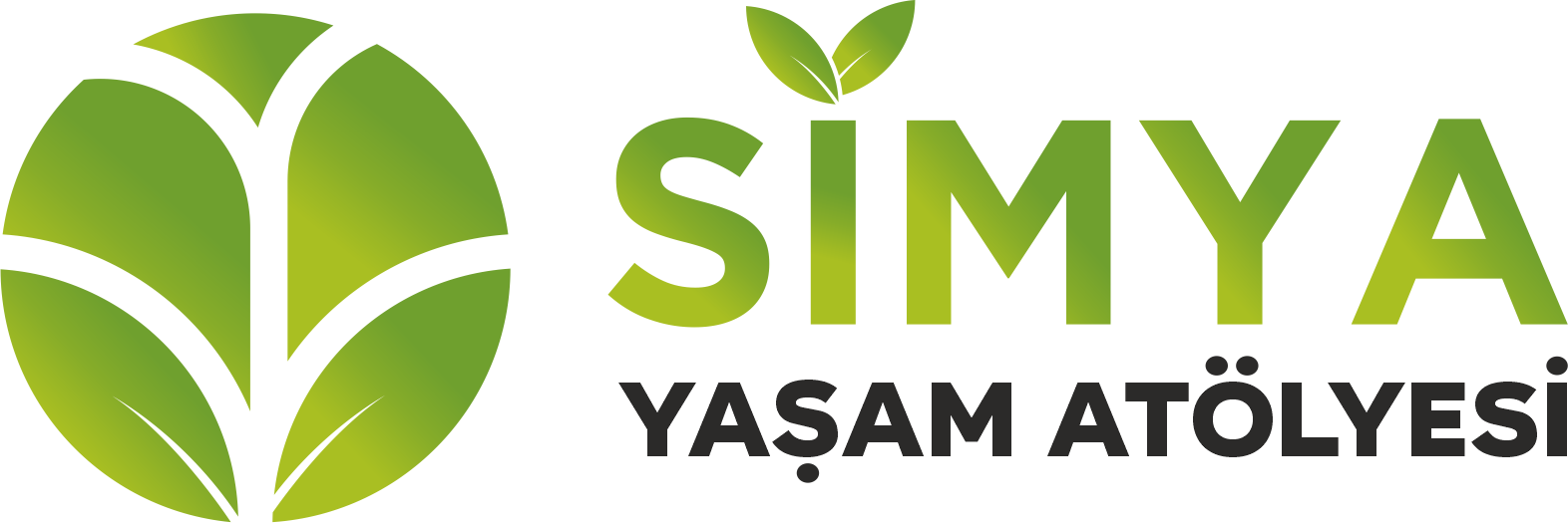 Eğitim, Bireysel Terapiler, Grup Organizasyon Çalışmaları | Simya Yaşam ...